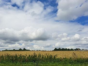 Swindon - BBC Weather