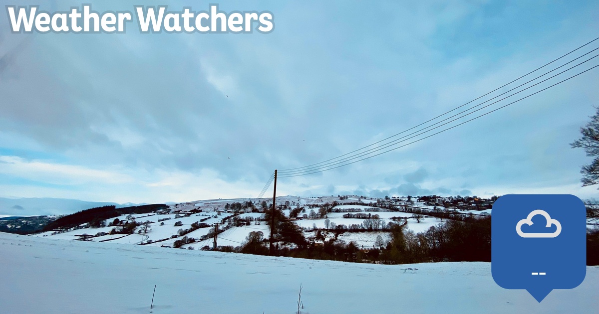 Report - BBC Weather Watchers