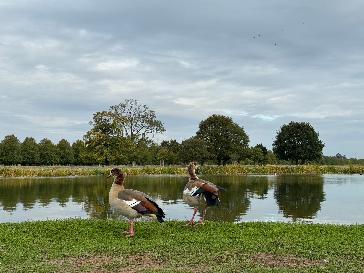 Gatwick Airport - BBC Weather