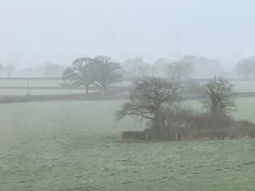 Bournemouth - BBC Weather