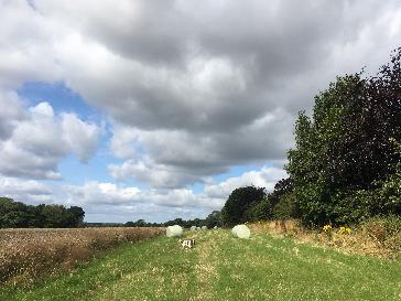 Warrington - BBC Weather