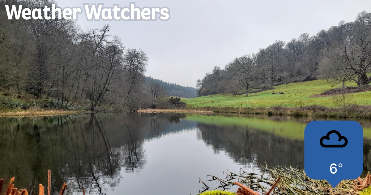 Report - BBC Weather Watchers