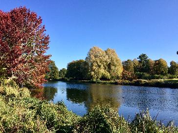 Reading - BBC Weather
