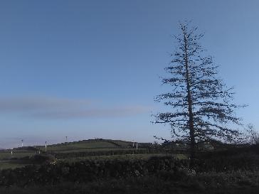 Coleraine - BBC Weather