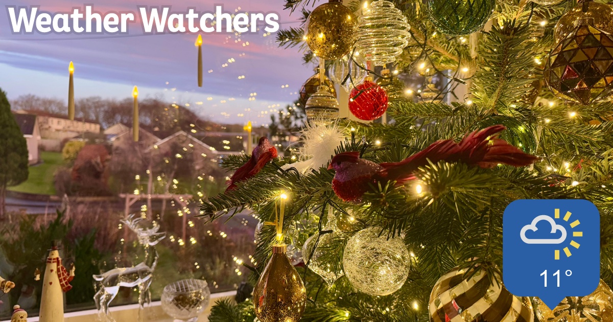 Report - BBC Weather Watchers
