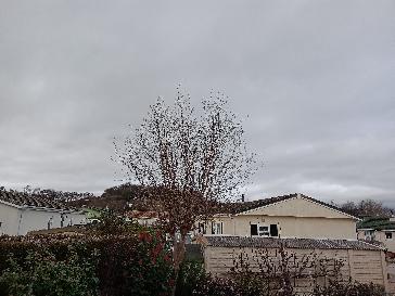 Exeter - BBC Weather