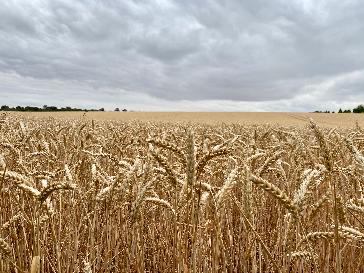 Aylesbury - BBC Weather