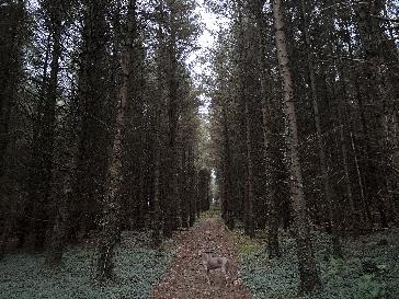 Killyleagh - BBC Weather