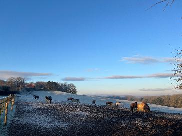 Halesowen - BBC Weather