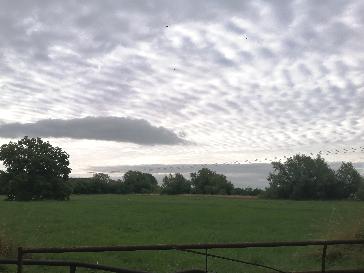 Swindon Village - BBC Weather