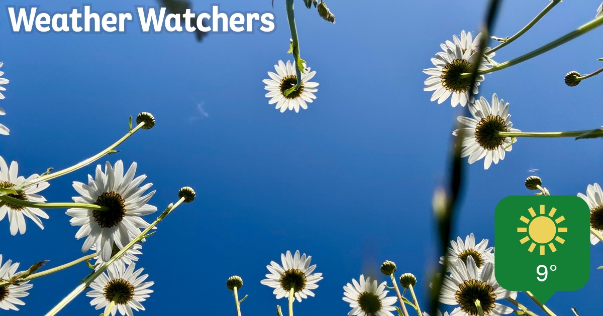 Report - BBC Weather Watchers