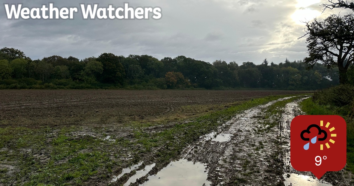 Report - BBC Weather Watchers