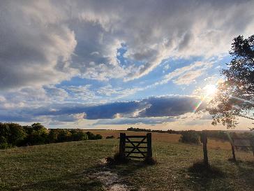 Bedford - BBC Weather