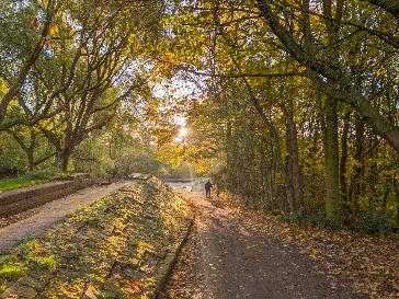 Tyldesley - BBC Weather