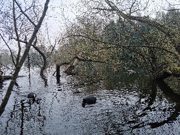 Wembley - BBC Weather