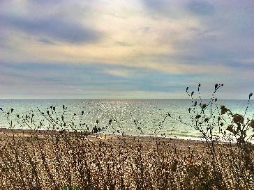 Findon - BBC Weather