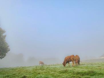 Immingham - BBC Weather