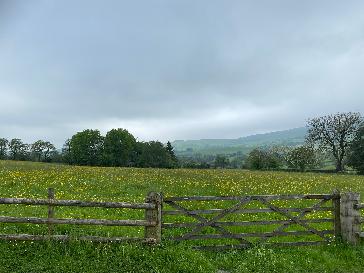 Cheadle - BBC Weather