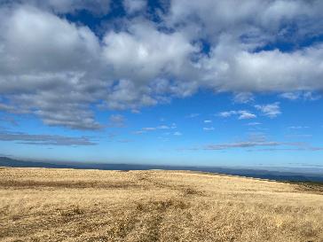 Whitby - BBC Weather