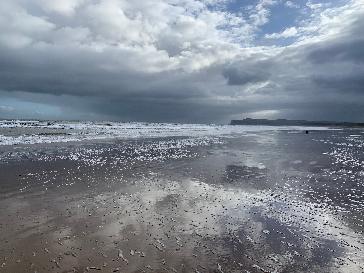 Middlesbrough - BBC Weather