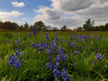 Worcester - BBC Weather