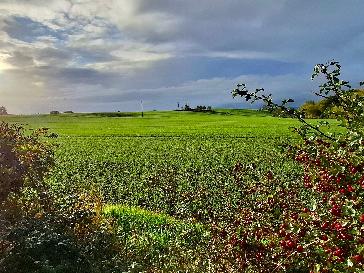 Coventry - BBC Weather