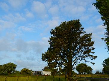 St Austell - BBC Weather