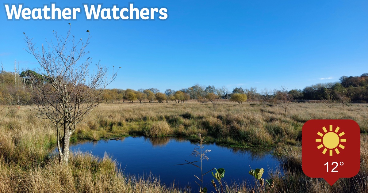 Report - BBC Weather Watchers