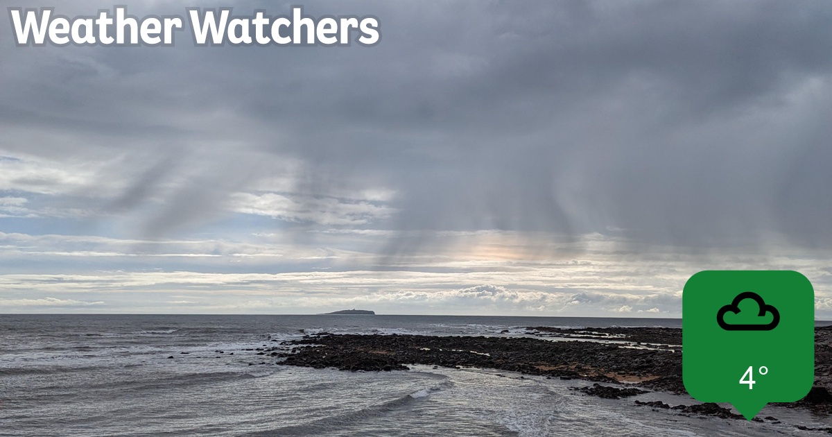 Report - BBC Weather Watchers