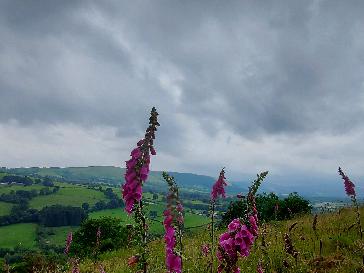 Brecon - BBC Weather
