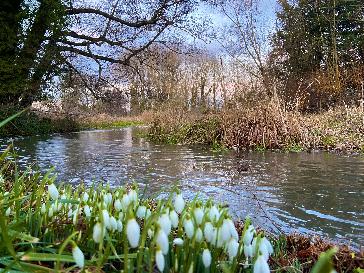 Harlow - BBC Weather