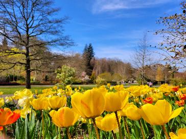 Harrogate - BBC Weather