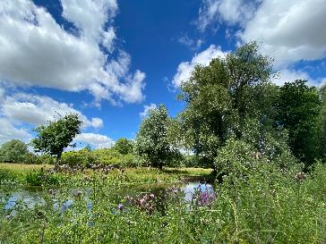 Salisbury - BBC Weather