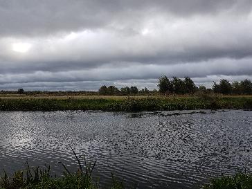 Bedford - BBC Weather