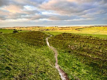 Ringwood - BBC Weather