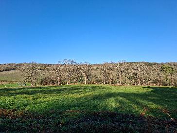 Guildford - BBC Weather