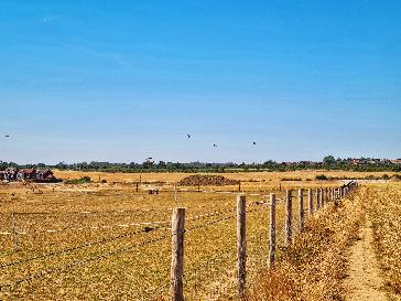 Chatham - BBC Weather