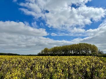 Howden - BBC Weather