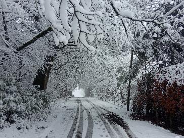 Prestwick - BBC Weather