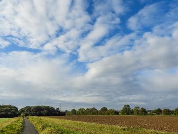 St Albans - BBC Weather
