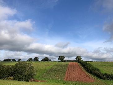 Barnstaple - BBC Weather