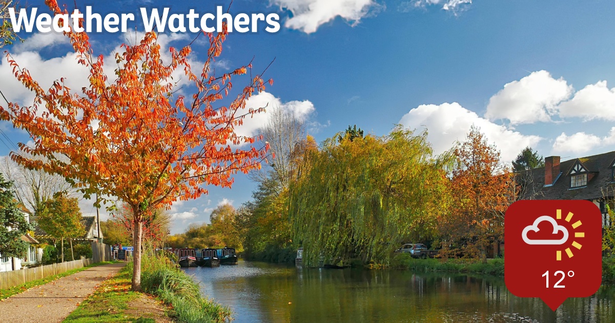 Report - BBC Weather Watchers