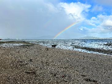 Belfast - BBC Weather