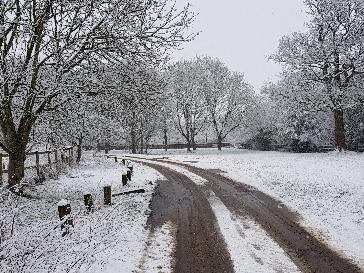Watford - BBC Weather