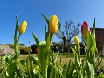 Port Talbot - BBC Weather