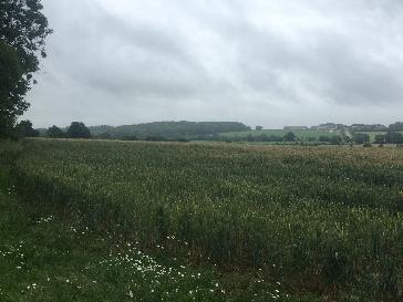 Swindon - BBC Weather