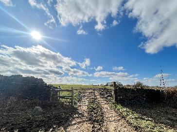 Newcastle - BBC Weather