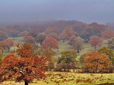 Audley - BBC Weather