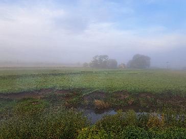 Harrogate - BBC Weather