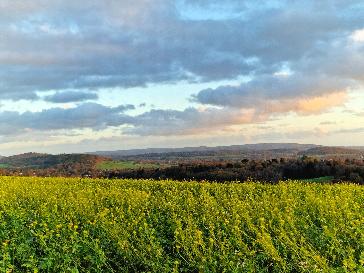 Guildford - BBC Weather